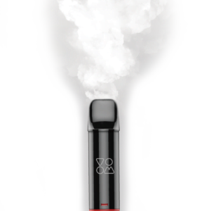 VOOM POD MOD — VOOM